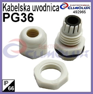 Kabelska uvodnica PG 36 IP66, plastična